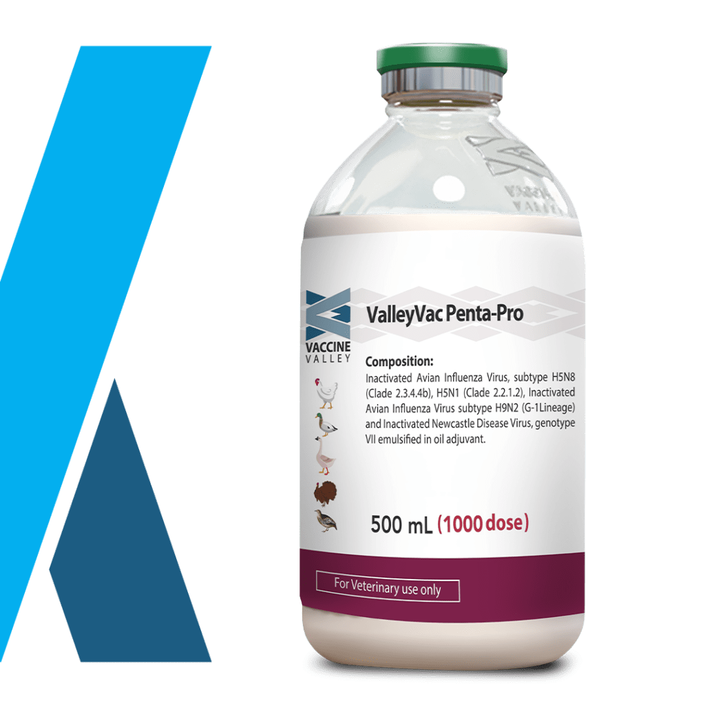 Poultry Archives - Vaccine Valley
